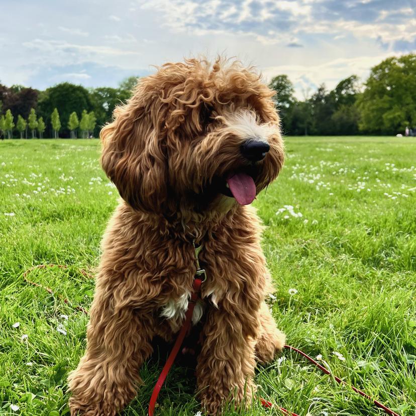 priwatt: Erfahre mehr über uns und unser Team